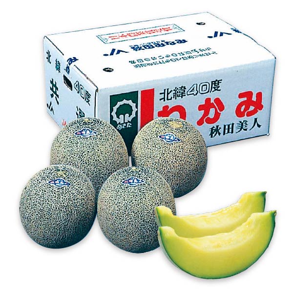 秋田県若美地区産 JA秋田なまはげ 秋田美人メロン（青肉） 5kg（3L・4個） | イオン東北オンライン