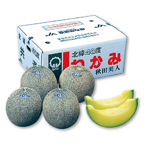 秋田県若美地区産 JA秋田なまはげ 秋田美人メロン(青肉) 5kg(3L・4個) | イオン東北オンライン