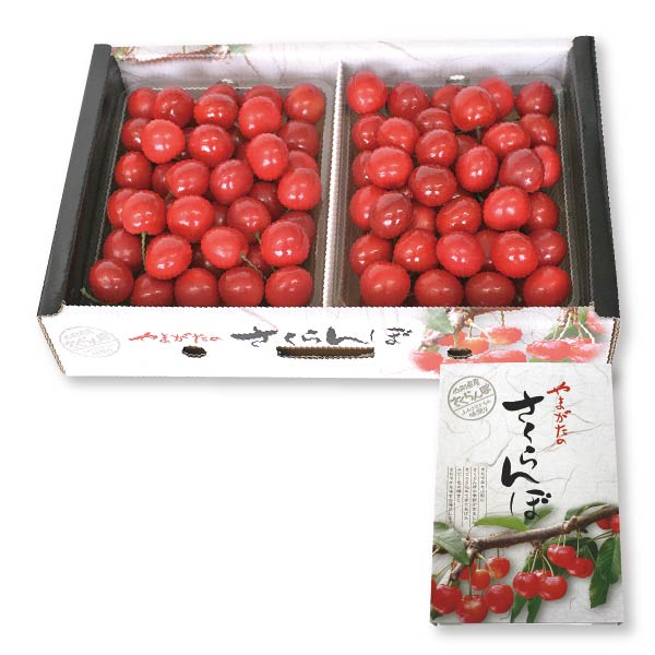 山形県東根市産 GI「東根さくらんぼ」佐藤錦 約600g(300g×2p) | イオン東北オンライン
